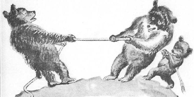 TEST CAT-A : Descripción del Test y Campo de Utilización.